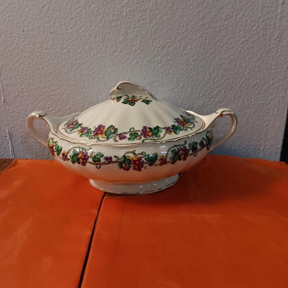 J G Meakin | Kitchen | Vintage J G Meakin Porcelain Tureen | Poshmark
